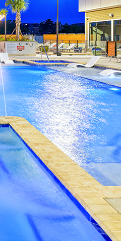 Apartments Near USF | The Metropolitan Tampa